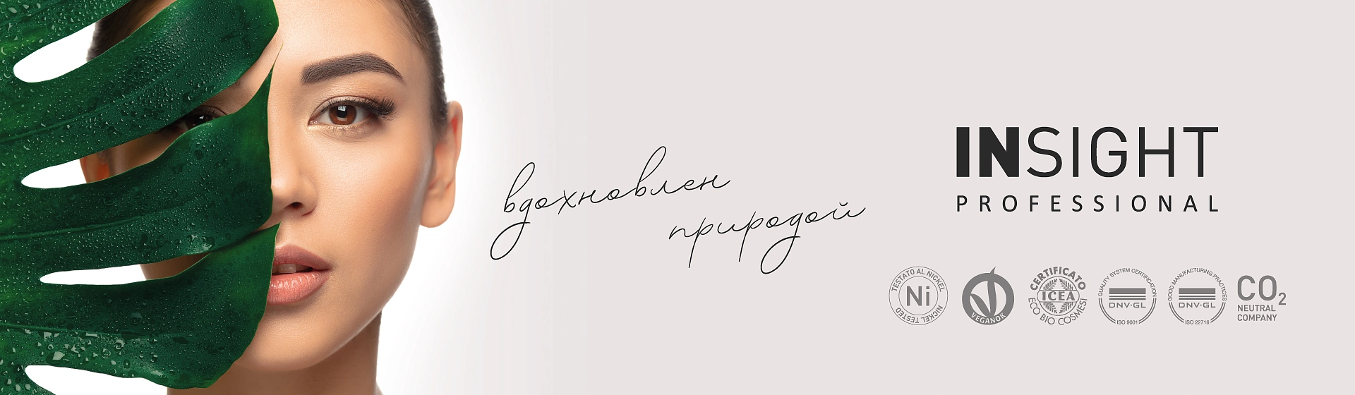 Insight Professional (Инсайт Профессионал ) | Официальный сайт VISAGEHALL